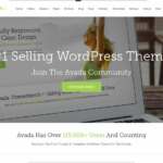 Das Wordpress Avada Theme - Alle Einstellungen